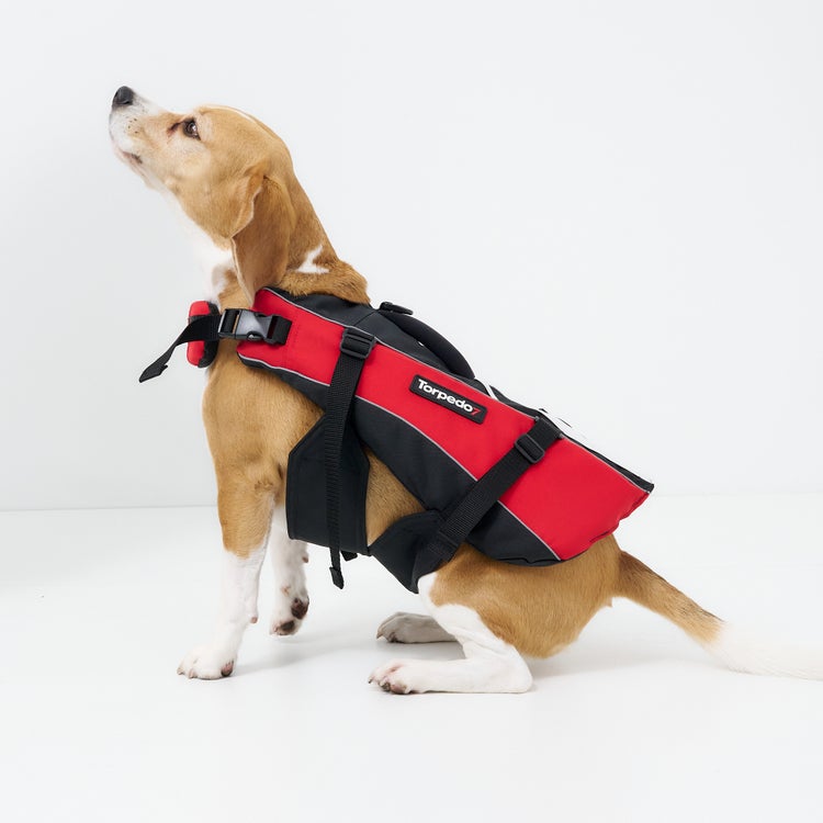Life Jackets & PFDs | Shop Options for Kids & Adults